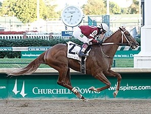 Tapiture - Horse Profile - BloodHorse