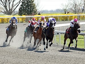 Handsome Mike - Horse Profile - BloodHorse
