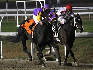 Archarcharch - Horse Profile - BloodHorse