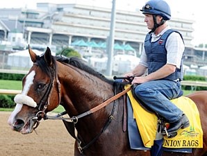 Union Rags - Horse Profile - BloodHorse