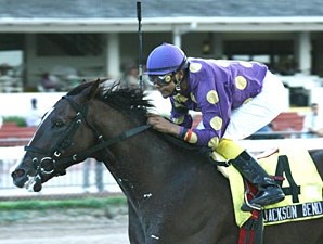 Jackson Bend - Horse Profile - BloodHorse