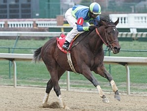 Native Ruler - Horse Profile - BloodHorse