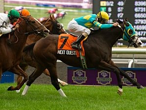 Next Question Has Right Answers in Nearctic - BloodHorse