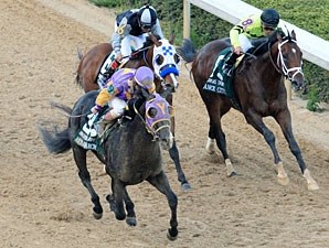 Archarcharch - Horse Profile - BloodHorse