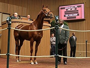 Mandy Pope Purchases Groupie Doll for $3.1M - BloodHorse