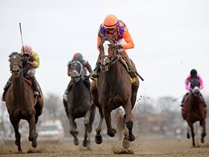 Summer Applause - Horse Profile - BloodHorse