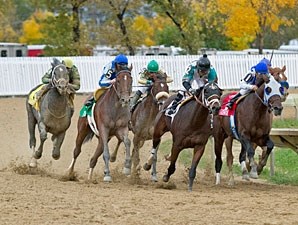 Pool Play - Horse Profile - BloodHorse