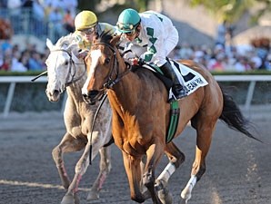 Pomeroys Pistol - Horse Profile - BloodHorse