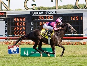 Willcox Inn - Horse Profile - BloodHorse