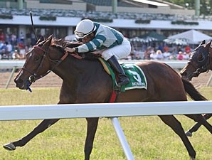 Rusty Slipper - Horse Profile - BloodHorse