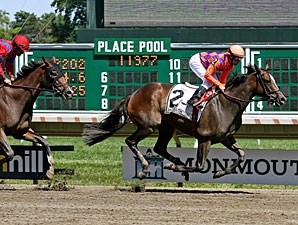 Summer Applause - Horse Profile - BloodHorse