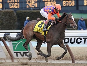 Summer Applause - Horse Profile - BloodHorse