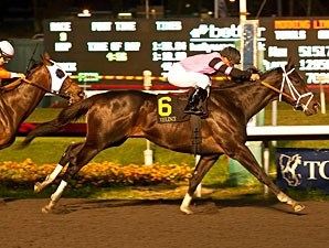 Violence - Horse Profile - BloodHorse