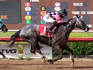 Master Rick - Horse Profile - BloodHorse