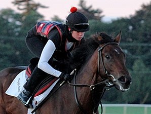 Orb - Horse Profile - BloodHorse