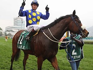 J J the Jet Plane (SAF) - Horse Profile - BloodHorse