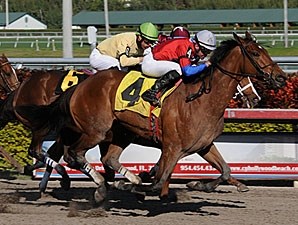 Quiet Temper - Horse Profile - BloodHorse