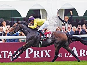 Sea The Stars (IRE) - Horse Profile - BloodHorse