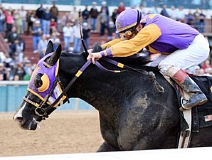 Archarcharch - Horse Profile - BloodHorse