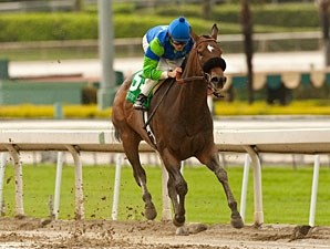 Include Me Out - Horse Profile - BloodHorse