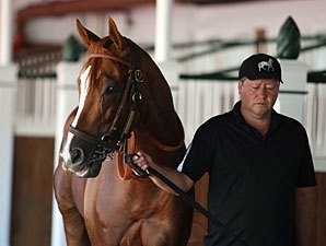 Pulpit Son Power Broker to Hill 'n' Dale - BloodHorse