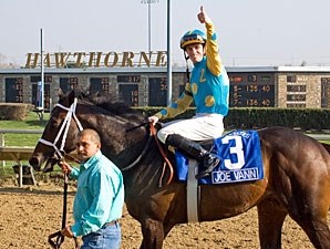 Joe Vann - Horse Profile - BloodHorse