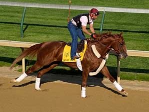 Kentucky Derby by the Numbers: Dosage Dilemma - BloodHorse