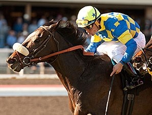 Lucayan (FR) - Horse Profile - BloodHorse