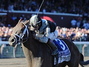 Capo Bastone - Horse Profile - BloodHorse