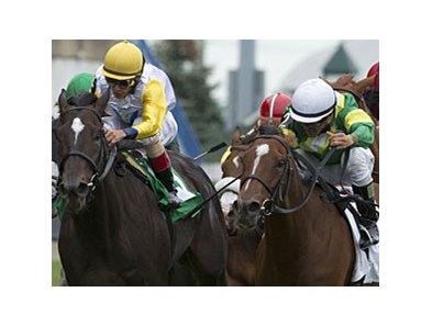 Perfect Timber to Stand at Colebrook Farms - BloodHorse