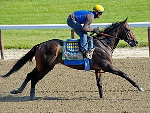 Zayat Hopes Paynter is His Masterpiece - BloodHorse