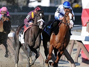 Jackson Bend - Horse Profile - BloodHorse