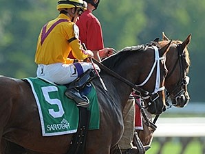 Cavorting - Horse Profile - BloodHorse