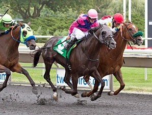 Willcox Inn - Horse Profile - BloodHorse