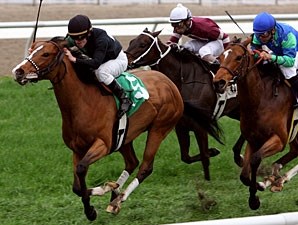 Annihilation - Horse Profile - BloodHorse