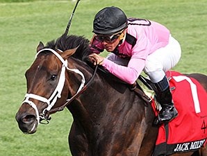 Jack Milton - Horse Profile - BloodHorse