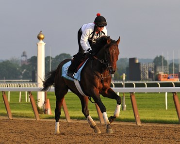 Orb - Horse Profile - BloodHorse