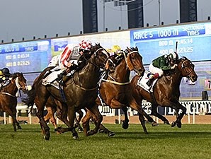 Sole Power (GB) - Horse Profile - BloodHorse