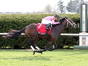 Jack Milton - Horse Profile - BloodHorse