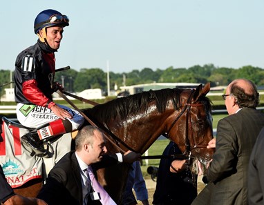 Tonalist - Horse Profile - BloodHorse