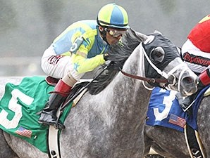 Race Day - Horse Profile - BloodHorse