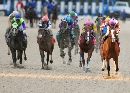 Rise Up - Horse Profile - BloodHorse