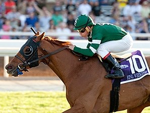 Ring Weekend - Horse Profile - BloodHorse