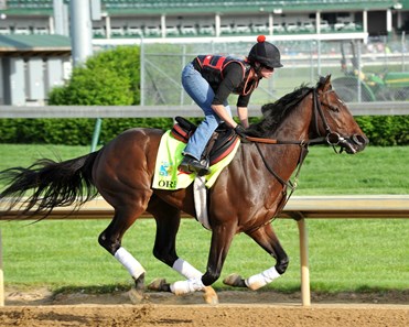 Orb - Horse Profile - BloodHorse