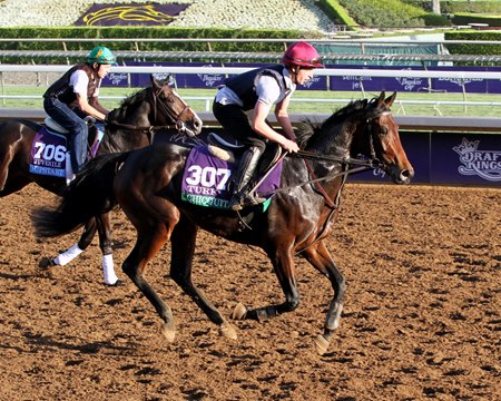 Second Runner Out of Chicquita to Debut at Leopardstown - BloodHorse