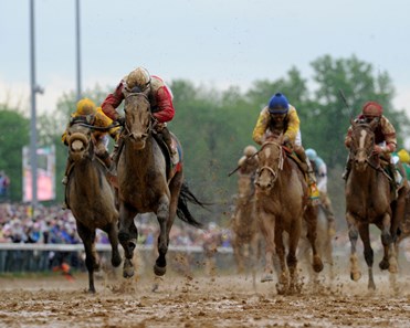 Orb - Horse Profile - BloodHorse
