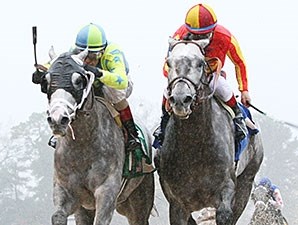 Race Day - Horse Profile - BloodHorse