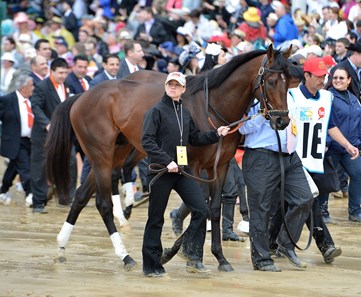 Orb - Horse Profile - BloodHorse