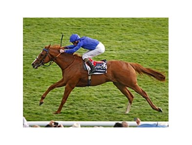 Dawn Approach: A Perfect Heir to His Sire - BloodHorse
