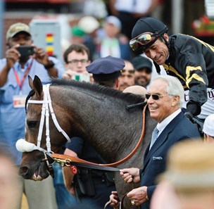 Oxbow - Horse Profile - BloodHorse